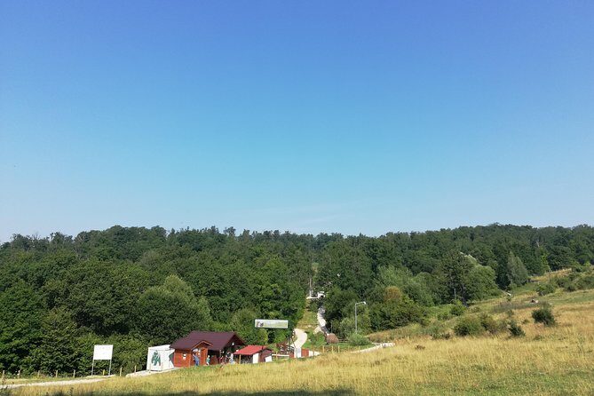 Bear Sanctuary and Dracula's Castle, 1-day Private Tour - Why This Tour Offers Great Value