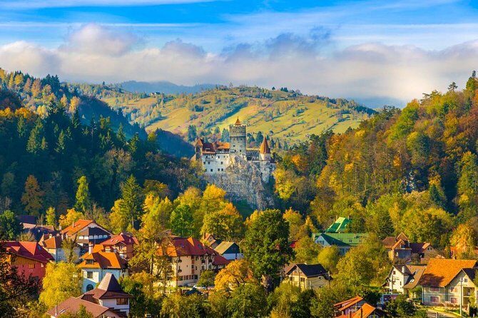 Bear Sanctuary, Bran (Dracula) Castle, Peles Castle From Brasov - A Closer Look at the Itinerary