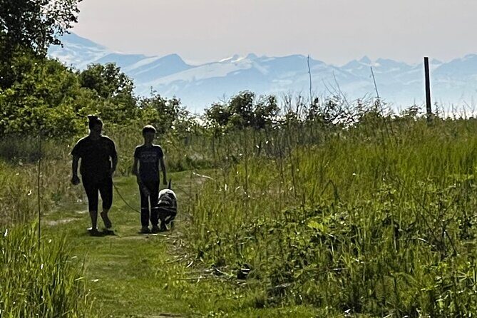 Bear Spray Rental 10 oz Counter Assault with Holster & Bear Bell - The Sum Up