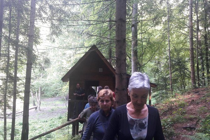 Bear Watching in The Wild from Brasov (100 %) - FAQ