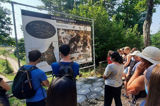 Bears Sanctuary, Dracula Castle and Poiana Brasov-Private day tour from Brasov - Who Will Love This Tour?