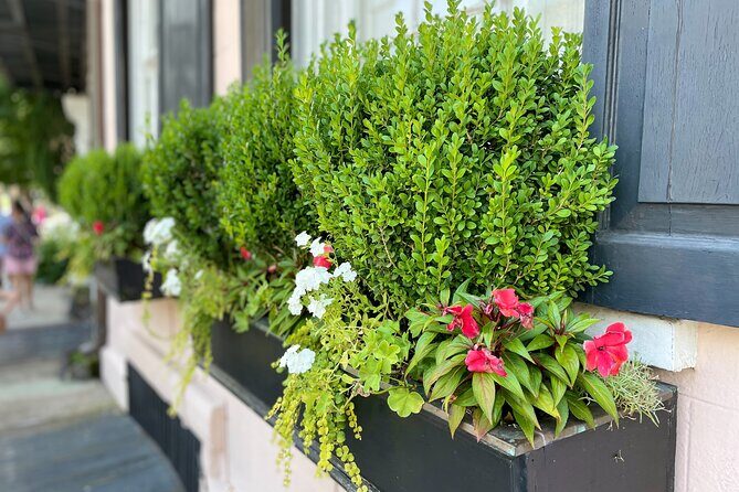 Beat the Heat! Take an Evening History Tour of Charleston! - FAQ