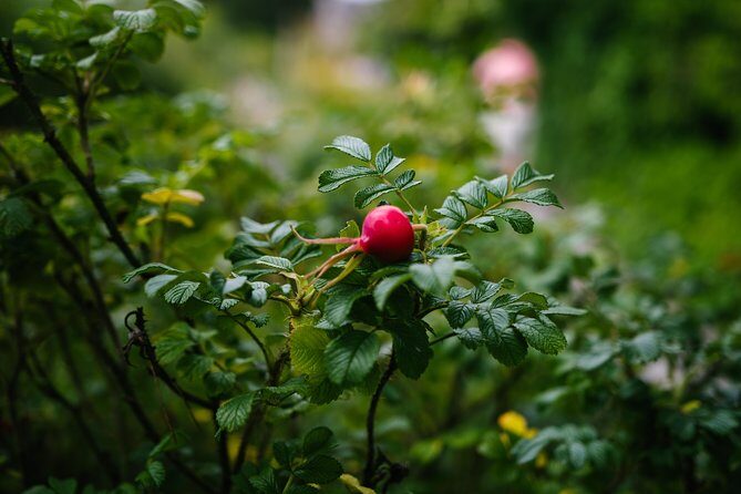 Beatrix Potter's Half Day Lake District Tour Including Lake Cruise - Final Thoughts: Is This Tour for You?