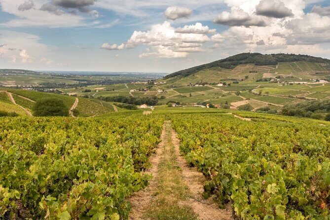 Beaujolais 100% wine tour Small-Group Tour with Tasting from Lyon - Introduction