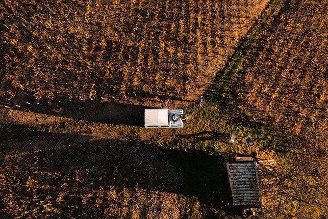 Beaujolais and Burgundy Private Winter Wine Day Tour From Lyon - The Tour Breakdown: What to Expect