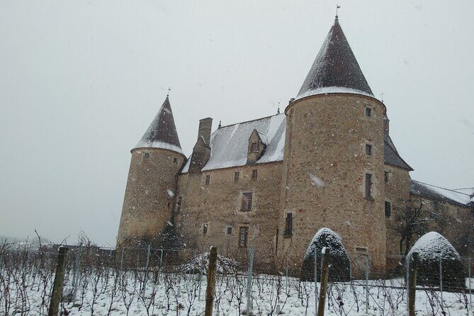 Beaujolais and Burgundy Private Winter Wine Day Tour From Lyon - Who Will Love This Tour?