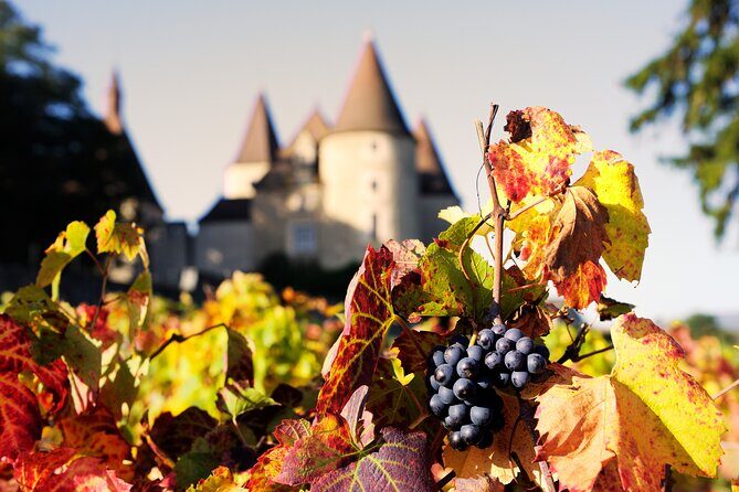 Beaujolais and Burgundy Private Winter Wine Day Tour From Lyon - FAQ
