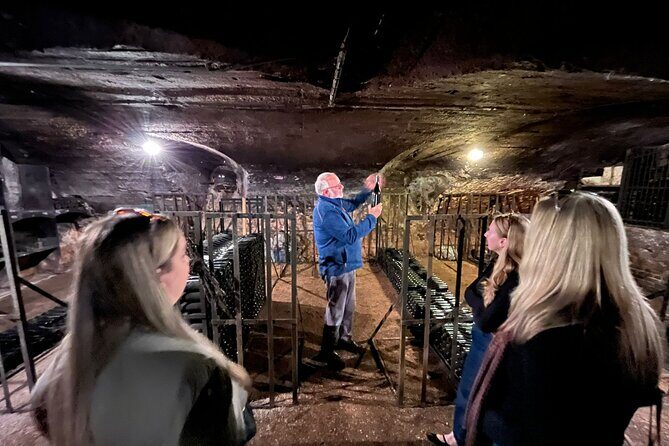 Beaujolais and Burgundy Private Winter Wine Day Tour From Lyon - Final Thoughts