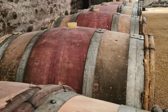 Beaujolais Crus wine tour from Lyon Full day - Who Would Love This Tour?