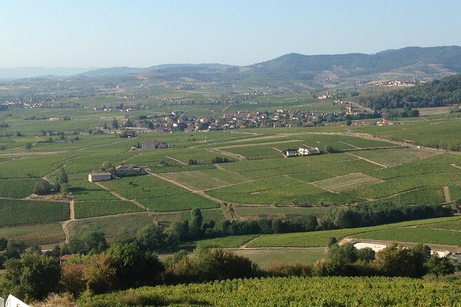 Beaujolais Crus Wines & Castles (2:00 pm - 6:30 pm) - Small Group Tour from Lyon - Panoramic Views at La Madone Chapel in Fleurie