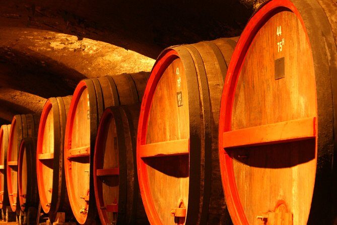 Beaujolais Crus Wines & Castles (2:00 pm - 6:30 pm) - Small Group Tour from Lyon - Who Would Enjoy This Tour Most?