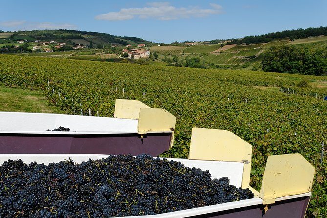 Beaujolais & Perouges Medieval Town (9:00 am to 5:15 pm - Small Group Tour Lyon - Who Would Love This Tour?