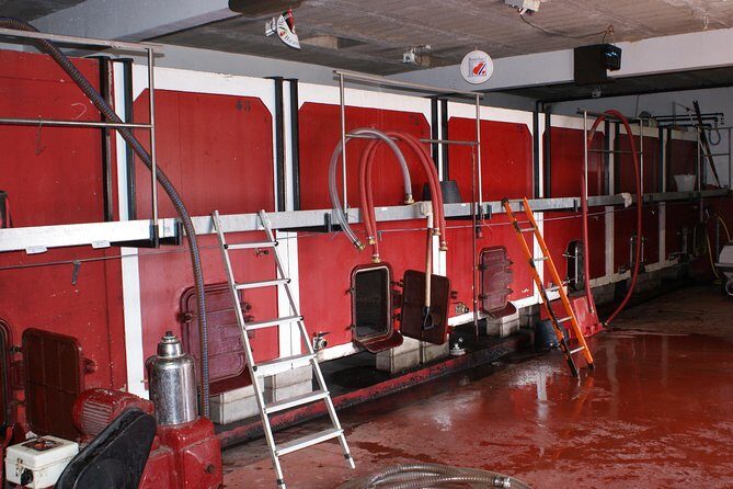 Beaujolais Wine Discovery - Half Day - Small group tour from Lyon - Key Points