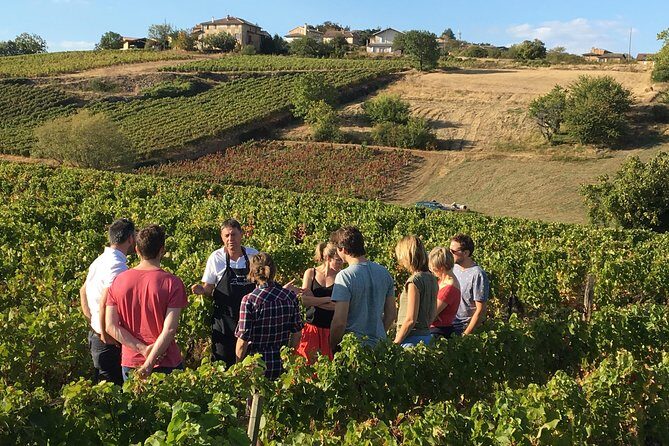Beaujolais Wine Discovery - Half Day - Small group tour from Lyon - FAQ