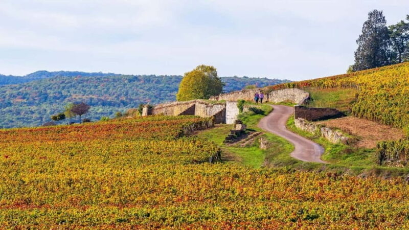 Beaune: Exclusive Private Guided Tour - Reviewing the Experience: Authentic Traveler Insights