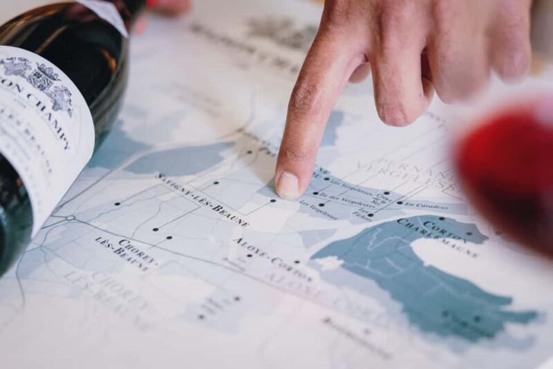 Beaune: Maison Champy Guided Cellar Tour with Wine Tasting - The Wines: A Closer Look