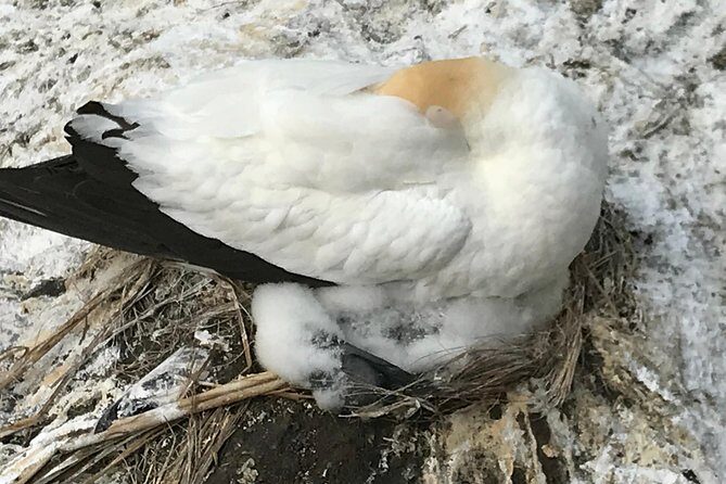 Beautiful Nature Tours Auckland - Private Tour - An Overview of the Experience