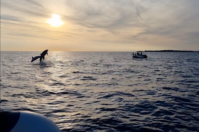 Beautiful Sunset and Dolphin Watching - An In-Depth Look at the Sunset and Dolphin Tour