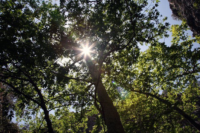 Beauty, Nature and Charm of Troodos Mountains from Paphos - The Sum Up: Who Will Love This Tour?