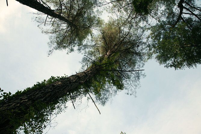 Beauty, Nature and Charm of Troodos Mountains from Paphos - FAQ