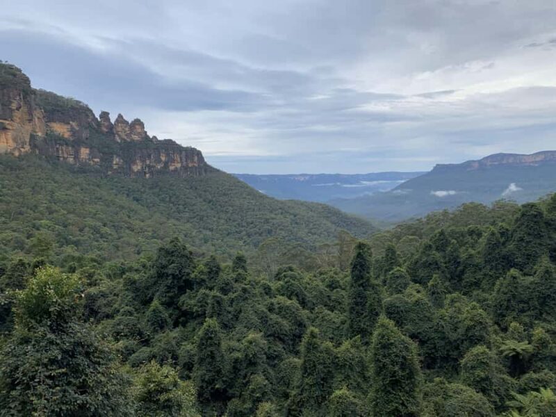 Beauty of the Blue Mountains Private Tour - A Closer Look at the Itinerary
