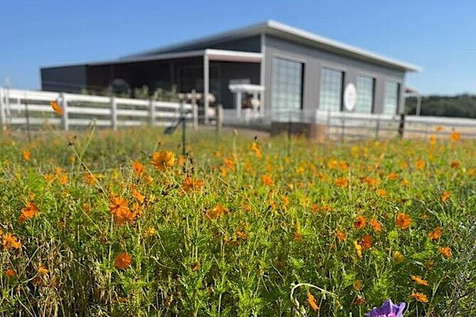 Become a Ranch Hand for a Day in Fredericksburg - Key Points