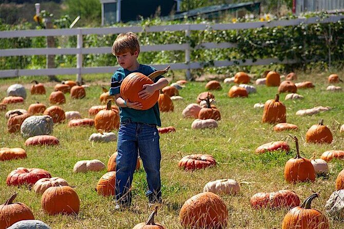 Become a Ranch Hand for a Day in Fredericksburg - FAQs