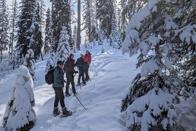 Beginner/Intermediate Snowshoeing in the Bitterroot Mountains - Exploring Montana’s Winter Wilderness: What to Expect