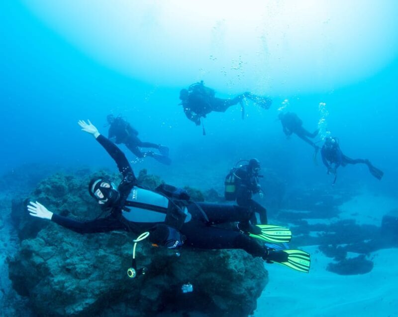 Beginner Scuba Dive with Scubapoint Tenerife in Turtle Area - Why Choose the Beginner Scuba Tour in Tenerife?