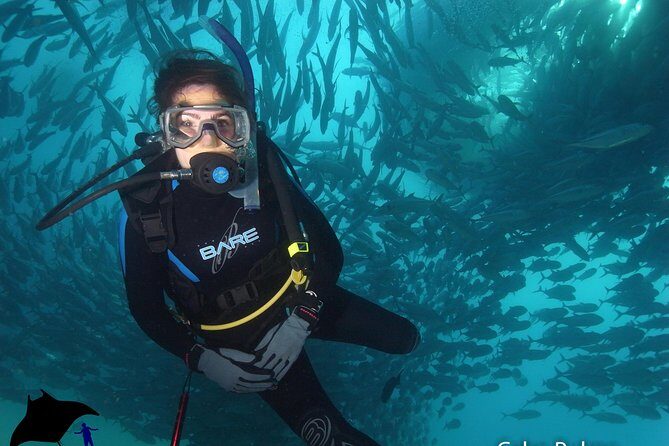 Beginner Scuba Diving in Cabo San Lucas - FAQ