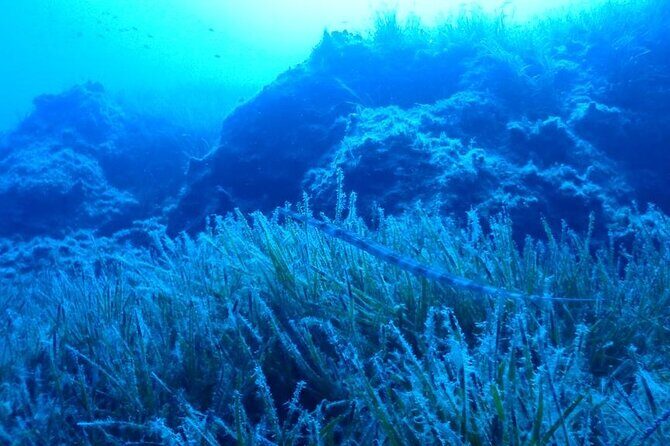 Beginners Discover Scuba Diving By Boat, Best Spot In Cyprus - FAQ