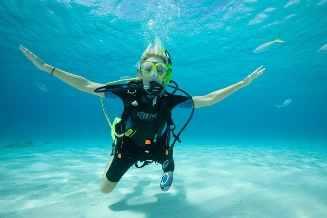 Beginners Scuba Diving Experience in Gran Canaria - Detailed Tour Breakdown
