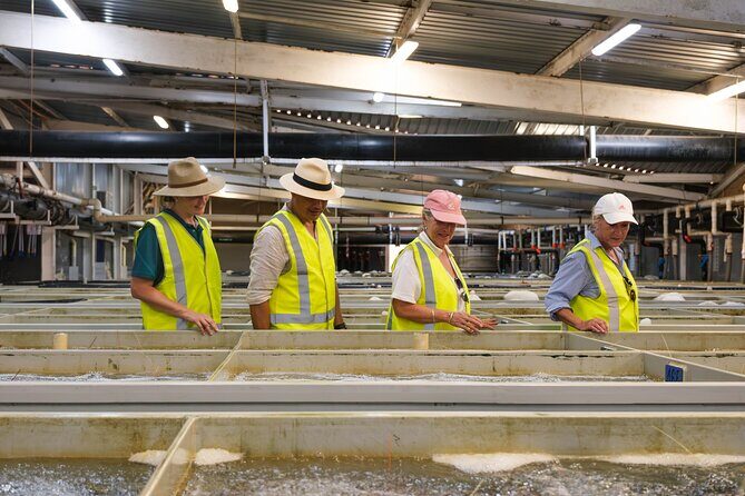 Behind-The-Scenes Ocean Harvest Tour - Final Thoughts