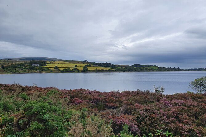 Belfast to Dublin Airport Private Transport up to 8 passengers - Detailed Review of the Belfast to Dublin Airport Private Transfer