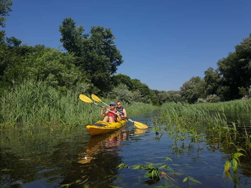 Belgrade: Great War Island Kayak Adventure - Itinerary Breakdown: What Can You Expect?