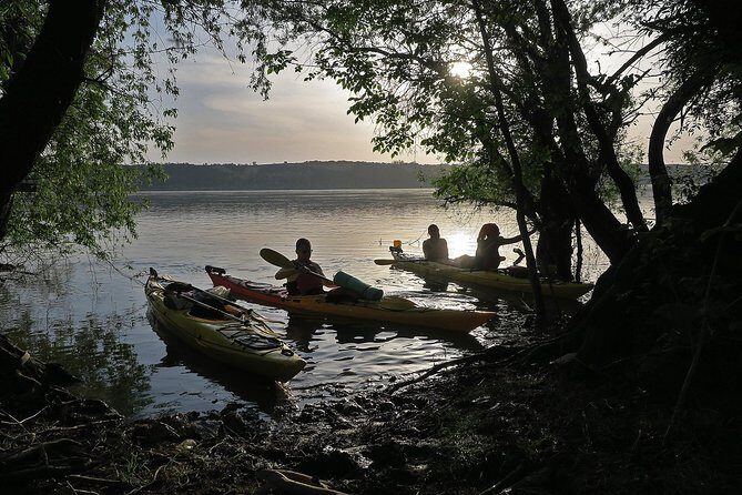 Belgrade War Island Kayak Tour - Why You Should Consider the Belgrade War Island Kayak Tour