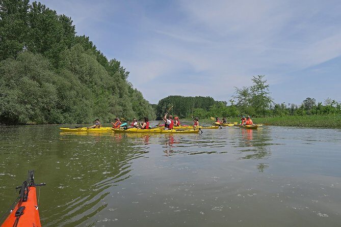 Belgrade War Island Kayak Tour - The Experience from Real Travelers’ Perspectives
