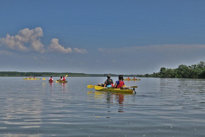 Belgrade War Island Kayak Tour - Final Thoughts: Who Will Love This Tour?