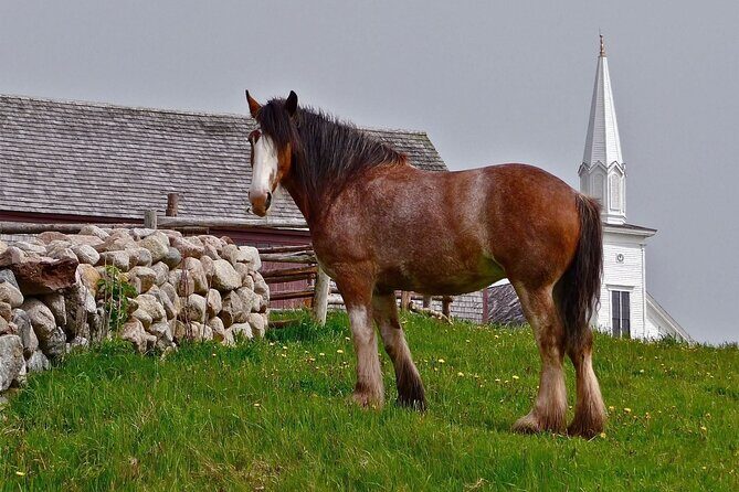 Bell Museum Baddeck to Highland Village Museum Iona - Why This Tour Represents Great Value