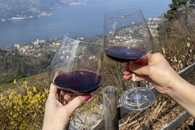 Bellagio: Exclusive Picnic at the Agrofarm with Scenic View - Final Words