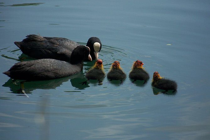 Bellagio, the pearl of lake Como. The village and the surrounding area - Borgo di Pescallo: A Hidden Hamlet