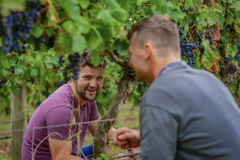 Bellarine Winery: Texas BBQ Platter Lunch with Wine - Exploring Bellarine Estate: A Family-Run Winery with a Personal Touch