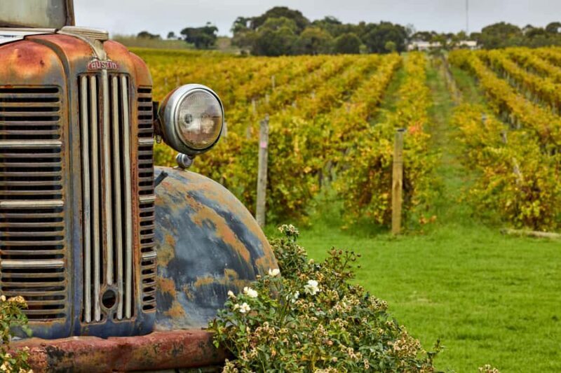 Bellarine Winery: Texas BBQ Platter Lunch with Wine - FAQ