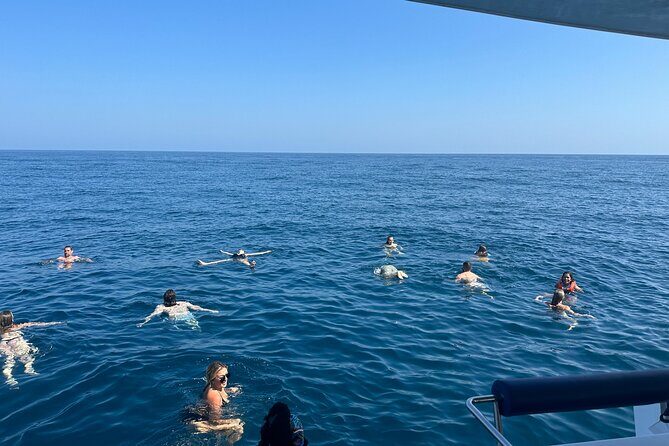 Benagil Caves & Coast from Portimão on an Eco-Friendly Catamaran - Key Points