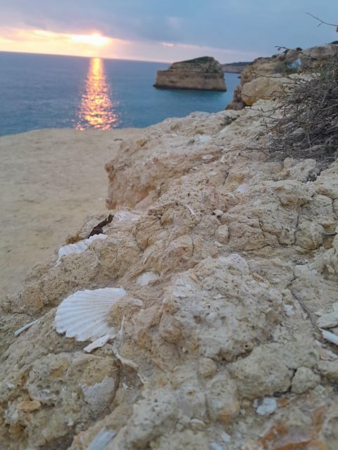 Benagil e-bike tour 7 hanging valleys - Key Points