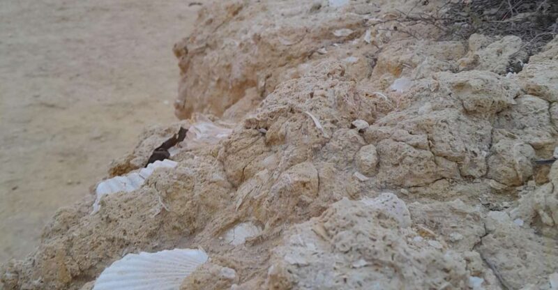 Benagil e-bike tour 7 hanging valleys - The Experience from the Reviewers’ Perspective