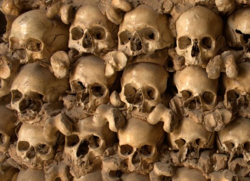 Benagil & Silves Castle Seightseing Tour from Albufeira - What Reviewers Say