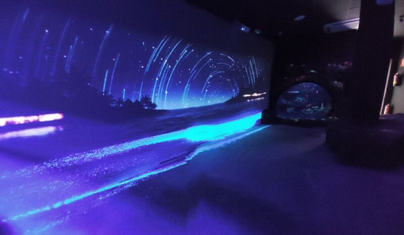 Benalmadena Aquarium Visit - Key Points