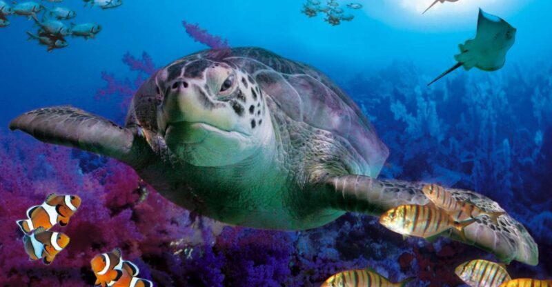 Benalmadena Aquarium Visit - Authentic Insights from Visitors