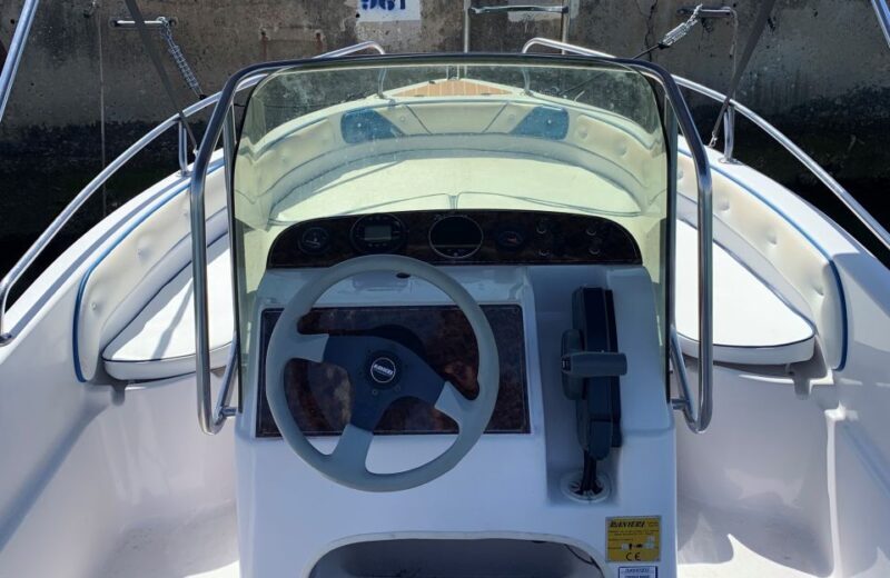 Benalmadena: Boat Rental without License Required - The Boat and Amenities